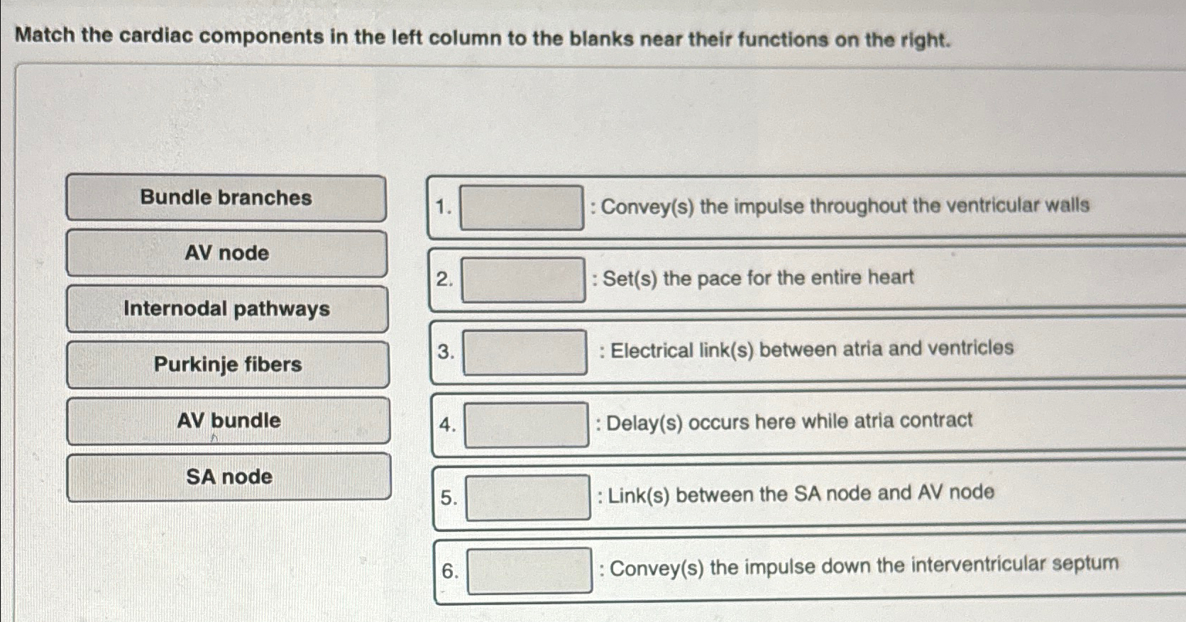 Solved Match the cardiac components in the left column to | Chegg.com