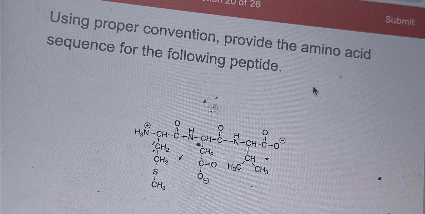 Solved SubmitUsing proper convention, provide the amino acid | Chegg.com