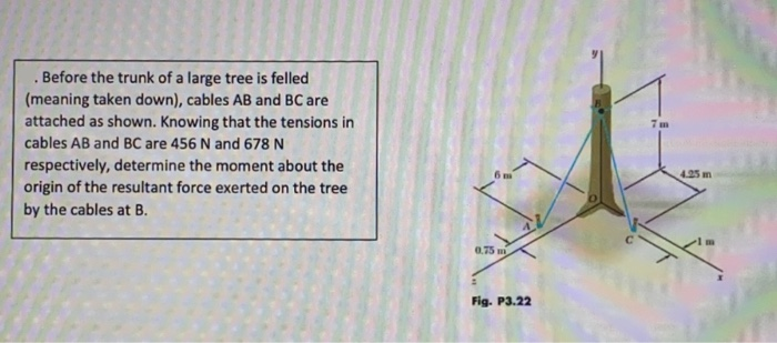 Solved . Before the trunk of a large tree is felled (meaning | Chegg.com