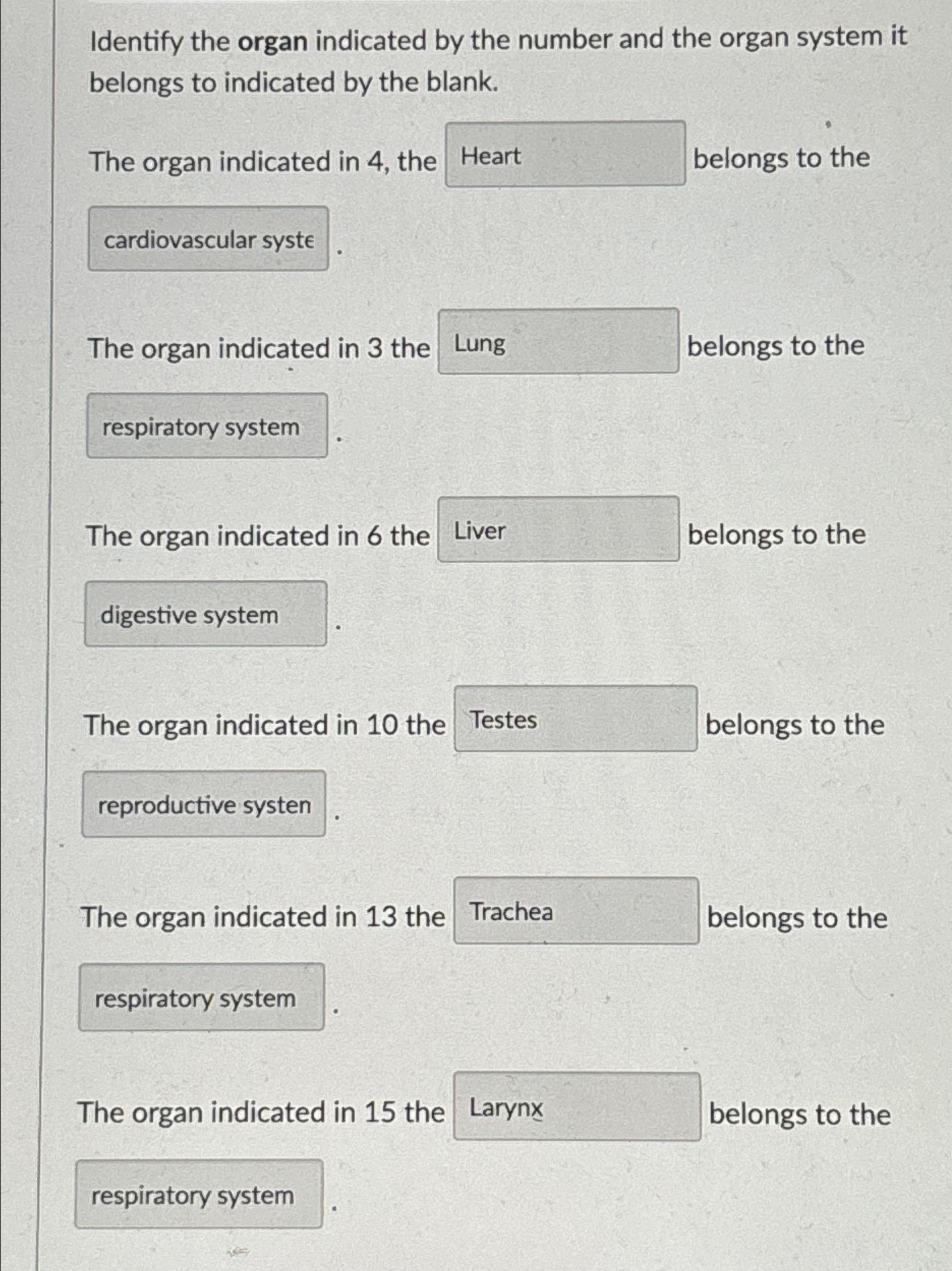 Solved Identify the organ indicated by the number and the | Chegg.com