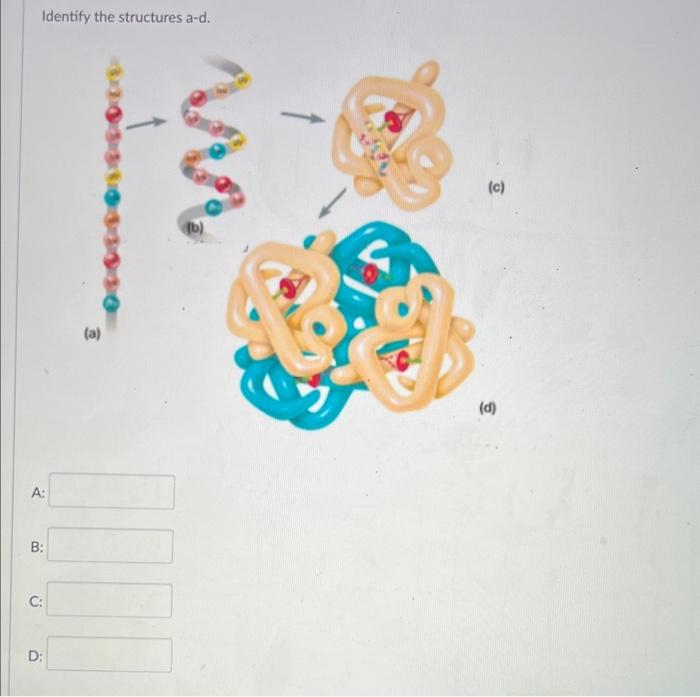 Solved Identify the structures a-d. | Chegg.com