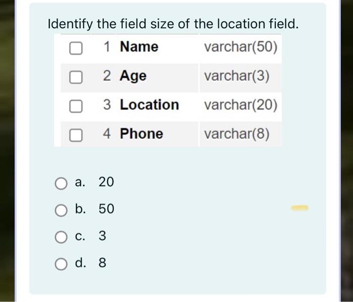 Solved Identify the field size of the location field. 1 Name | Chegg.com