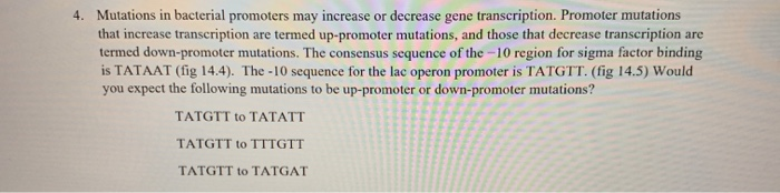 Solved 4. Mutations in bacterial promoters may increase or | Chegg.com