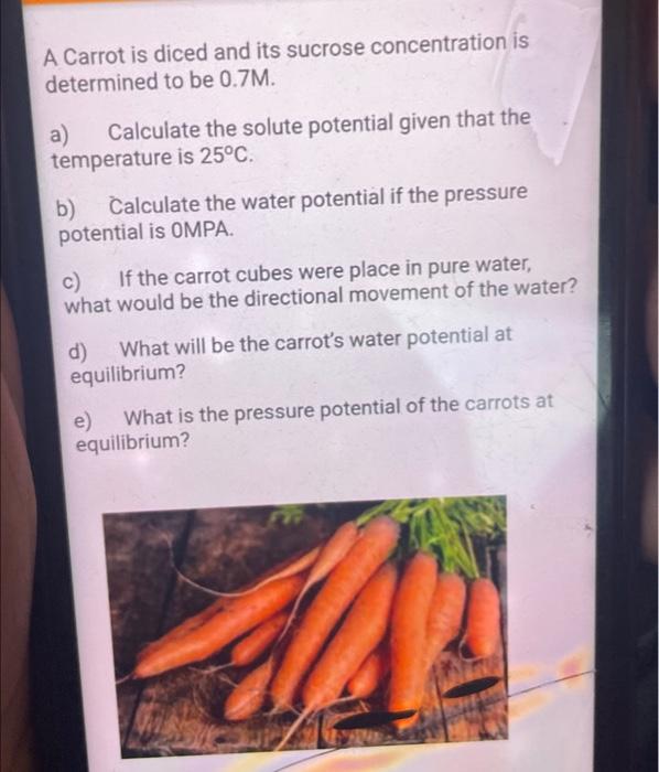 Solved A Carrot is diced and its sucrose concentration is | Chegg.com