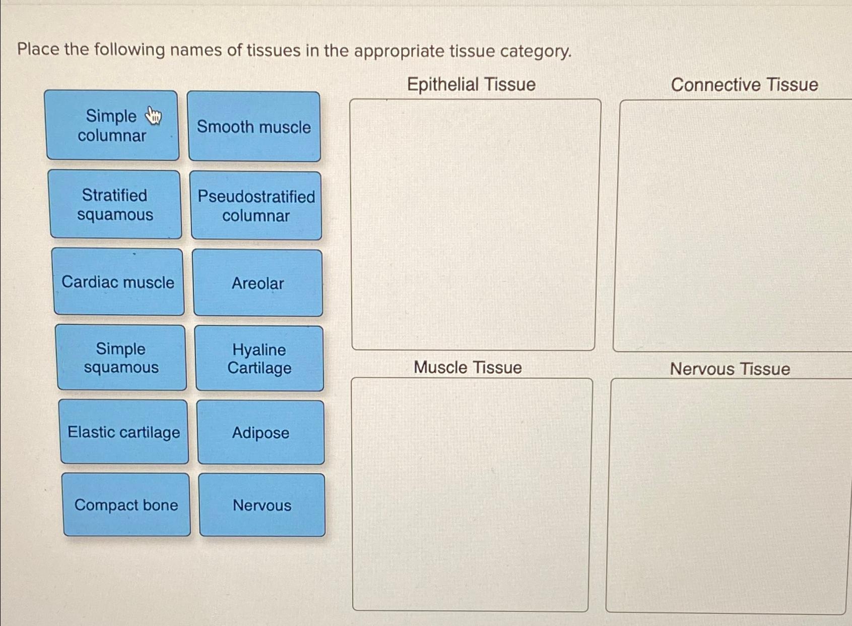 Solved Place the following names of tissues in the | Chegg.com