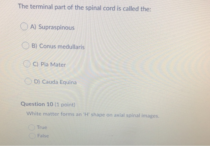 Solved The thoracic spinous processes of T2-T6 bifurcate. A) | Chegg.com