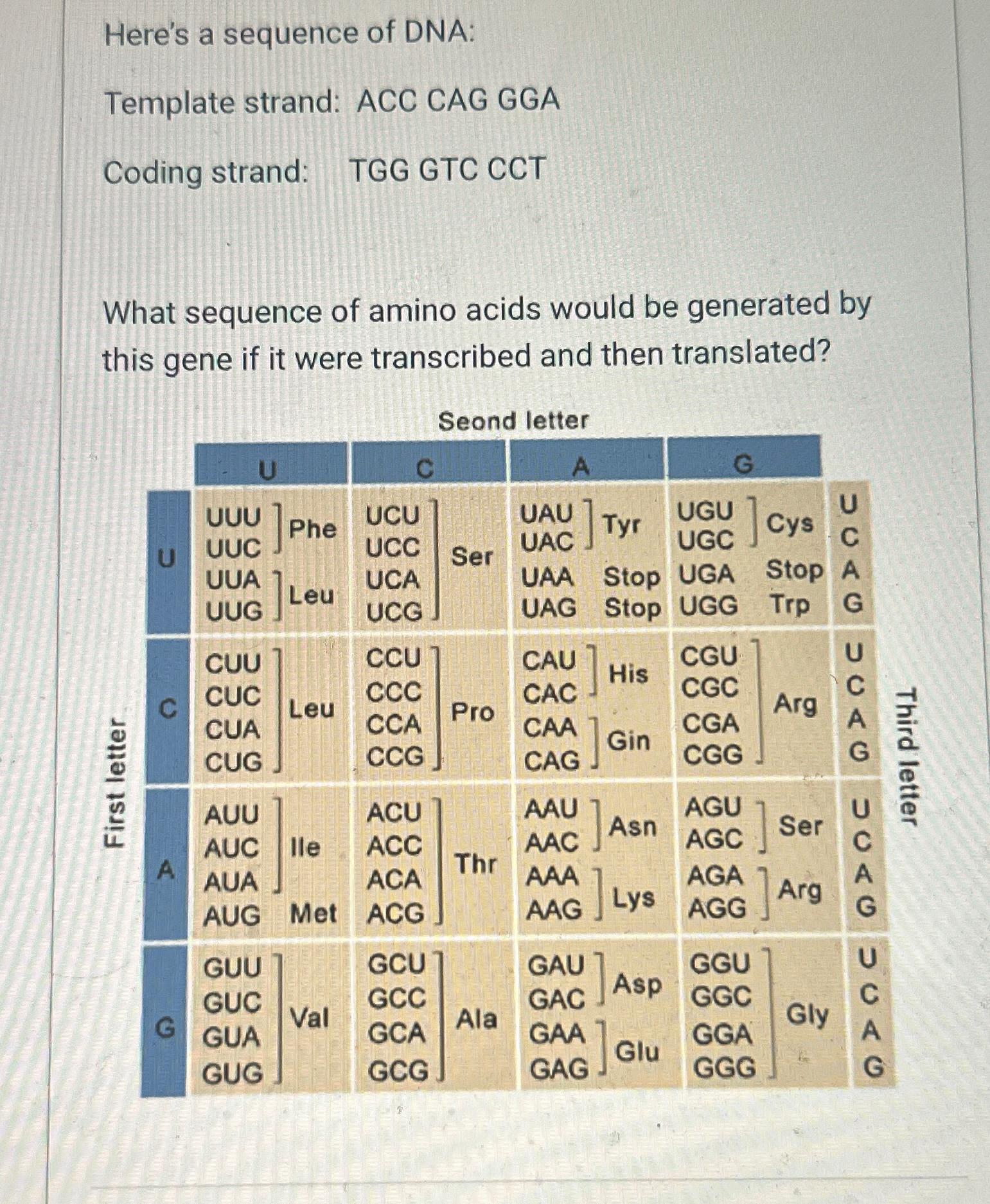 Solved Here's a sequence of DNA:Template strand: ACC CAG | Chegg.com