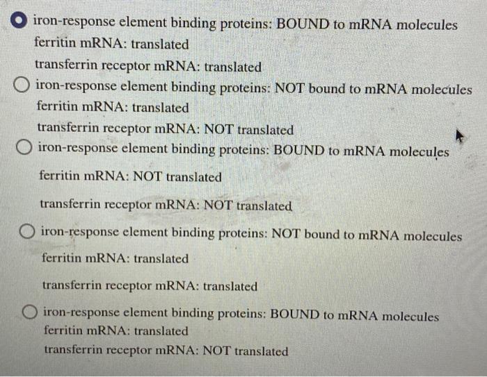 Solved mRna for ferritin, the iron-sequestering: protein in | Chegg.com
