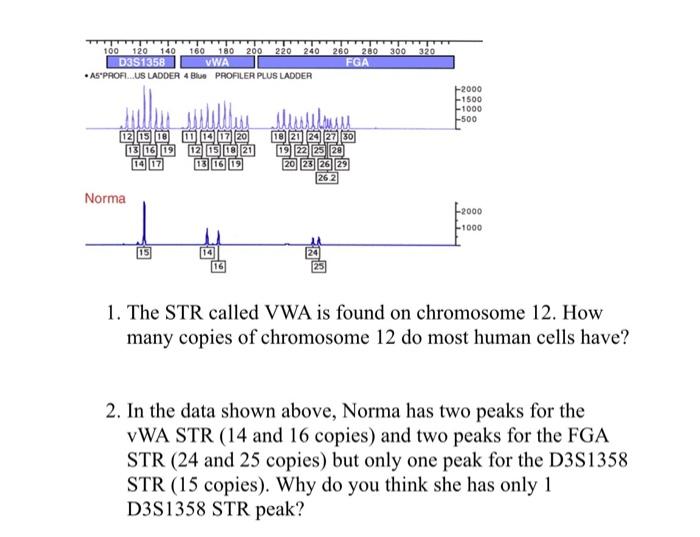 Solved 1. The STR called VWA is found on chromosome 12. How | Chegg.com