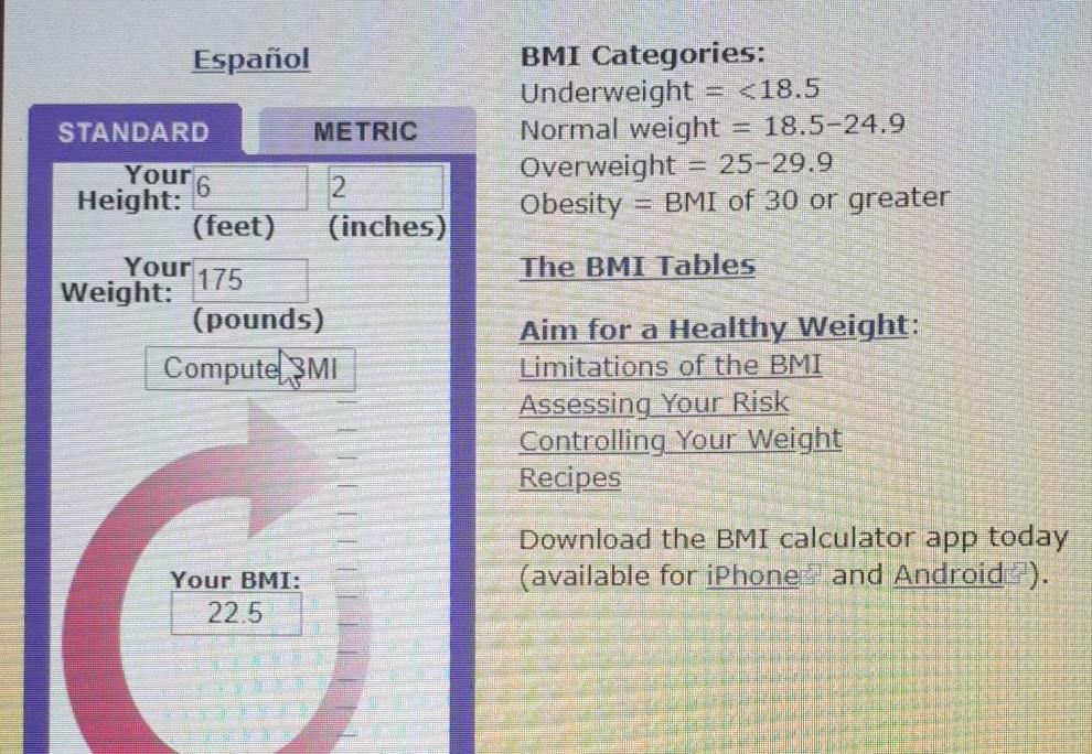 Solved Programming Challenge: BMI Calculator Attached Files | Chegg.com