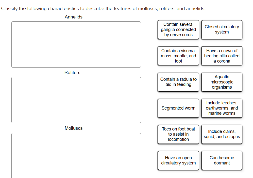 Solved Classify the following characteristics to describe | Chegg.com