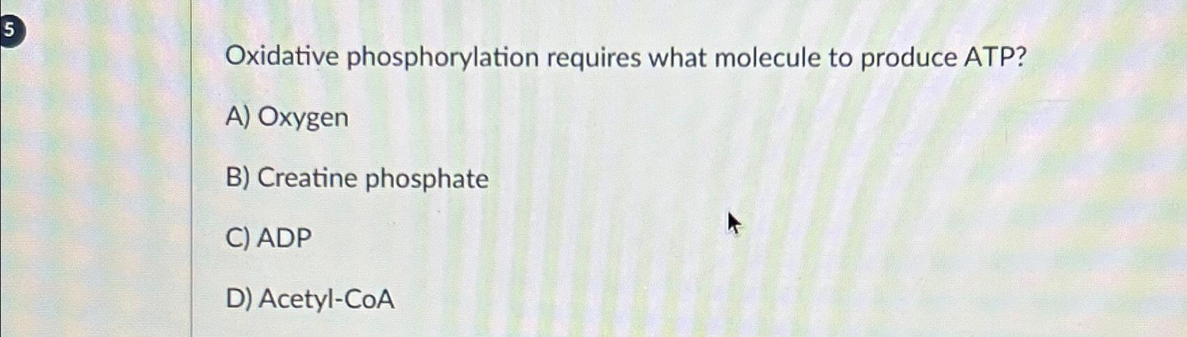 Solved Oxidative phosphorylation requires what molecule to | Chegg.com