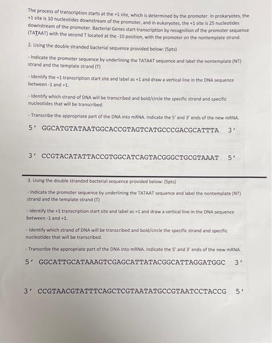 Solved The process of transcription starts at the +1 site, | Chegg.com