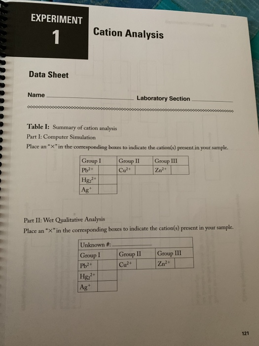 EXPERIMENT 1 Cation Analysis Data Sheet Name | Chegg.com
