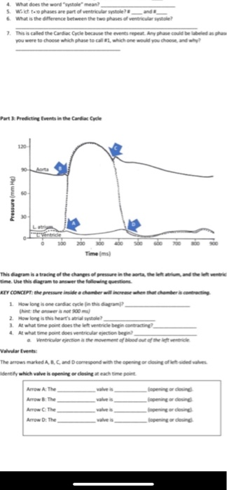 Solved Calculating Cardiac Output: How much blood is this | Chegg.com
