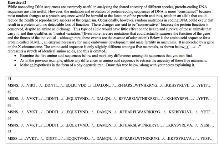 Exercise #2 While noncoding DNA sequences are | Chegg.com