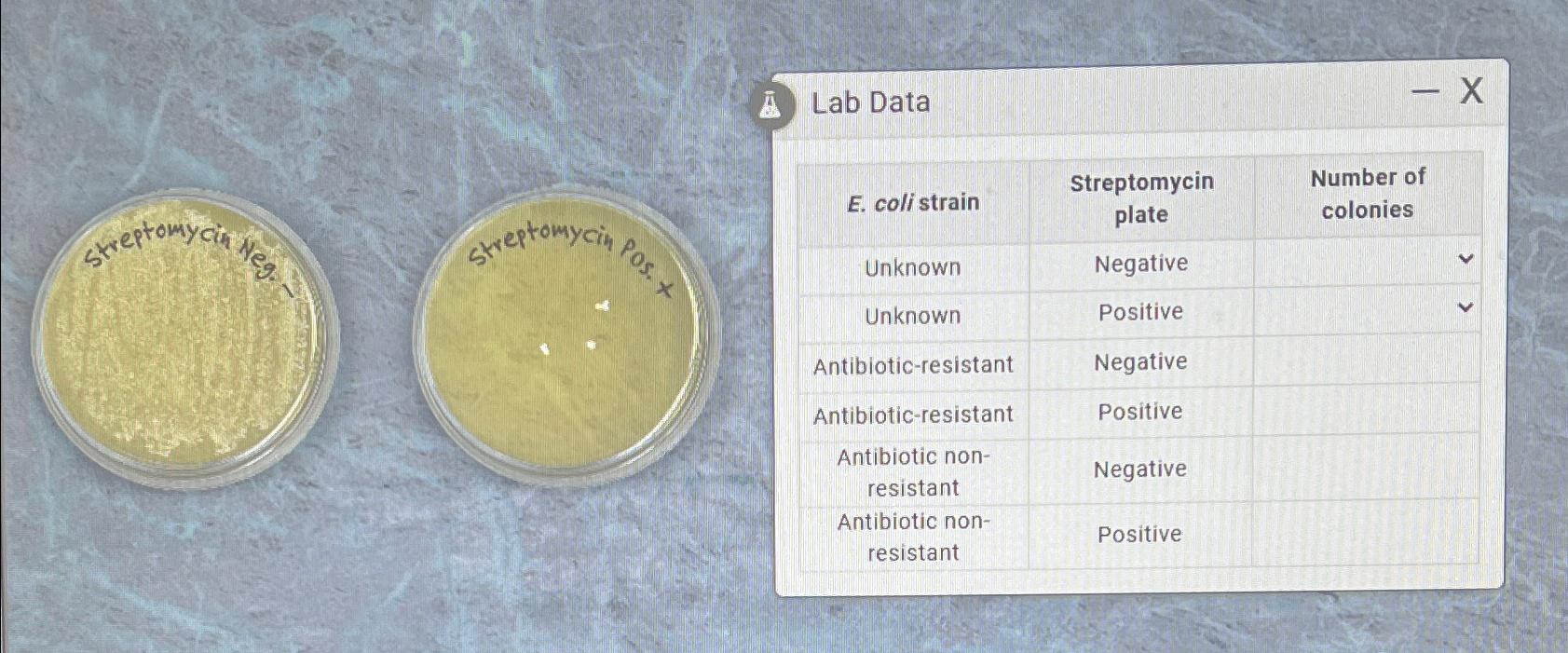 Solved A Lab Data\table[[E. | Chegg.com