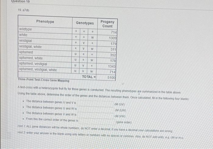 Solved 19. a7db A test-cross with a heterozygote fruat fy | Chegg.com