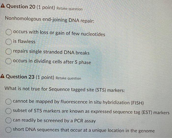 Solved Question 24 (1 point) Retake question Which type of | Chegg.com