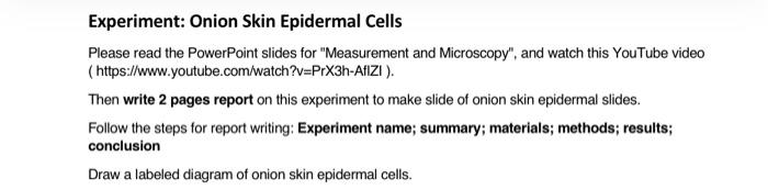 Solved Experiment: Onion Skin Epidermal Cells Please read | Chegg.com