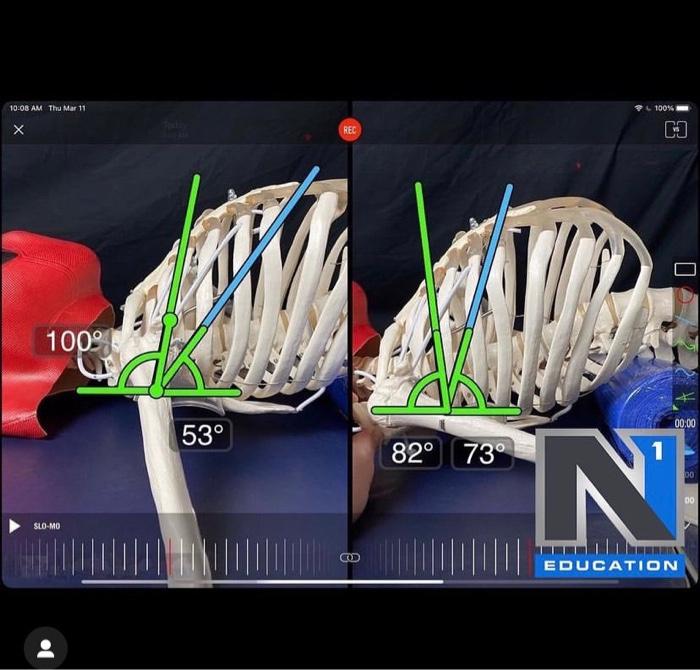Solved Coul you elaborate what these pictures are trying to | Chegg.com