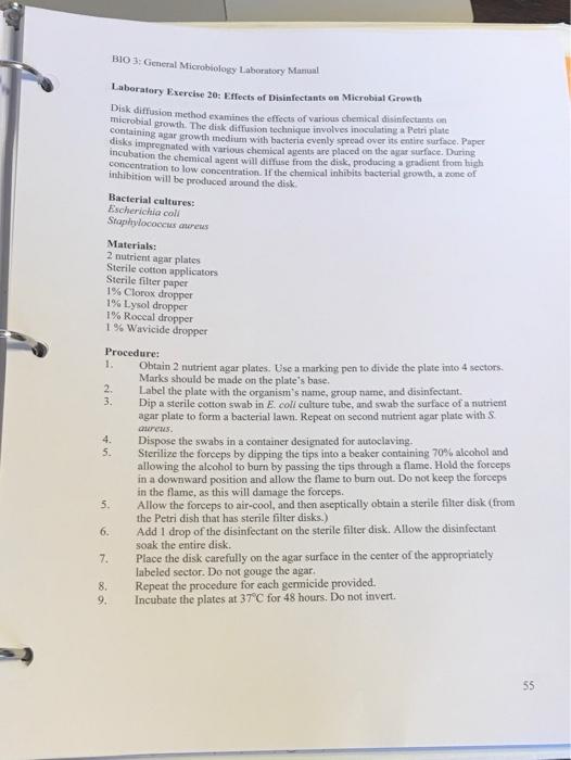 BIO 3: General Microbiology Laboratory Manual | Chegg.com