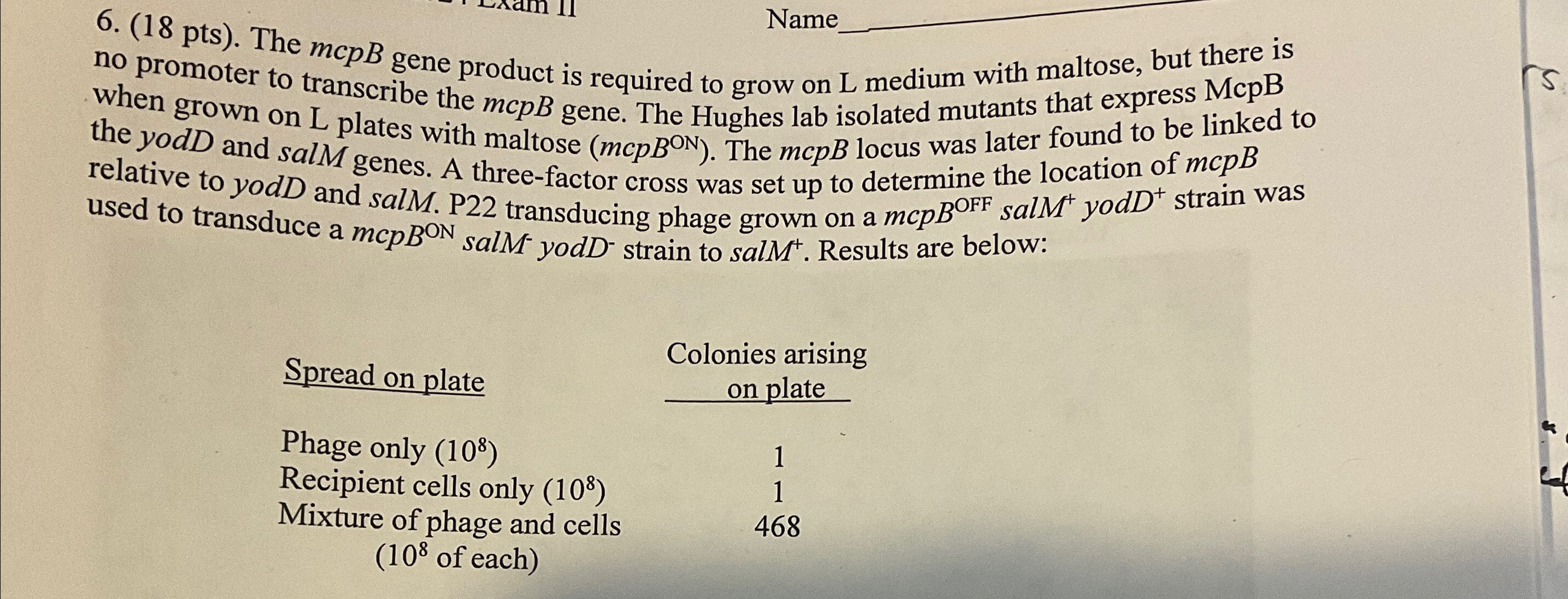 Solved The mcpB product is required to grow on L ﻿medium | Chegg.com