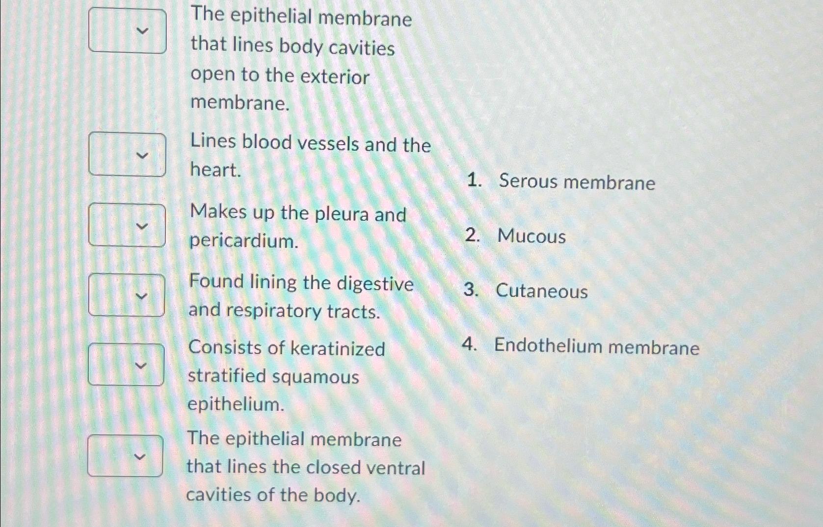 Solved The epithelial membrane that lines body cavities open | Chegg.com