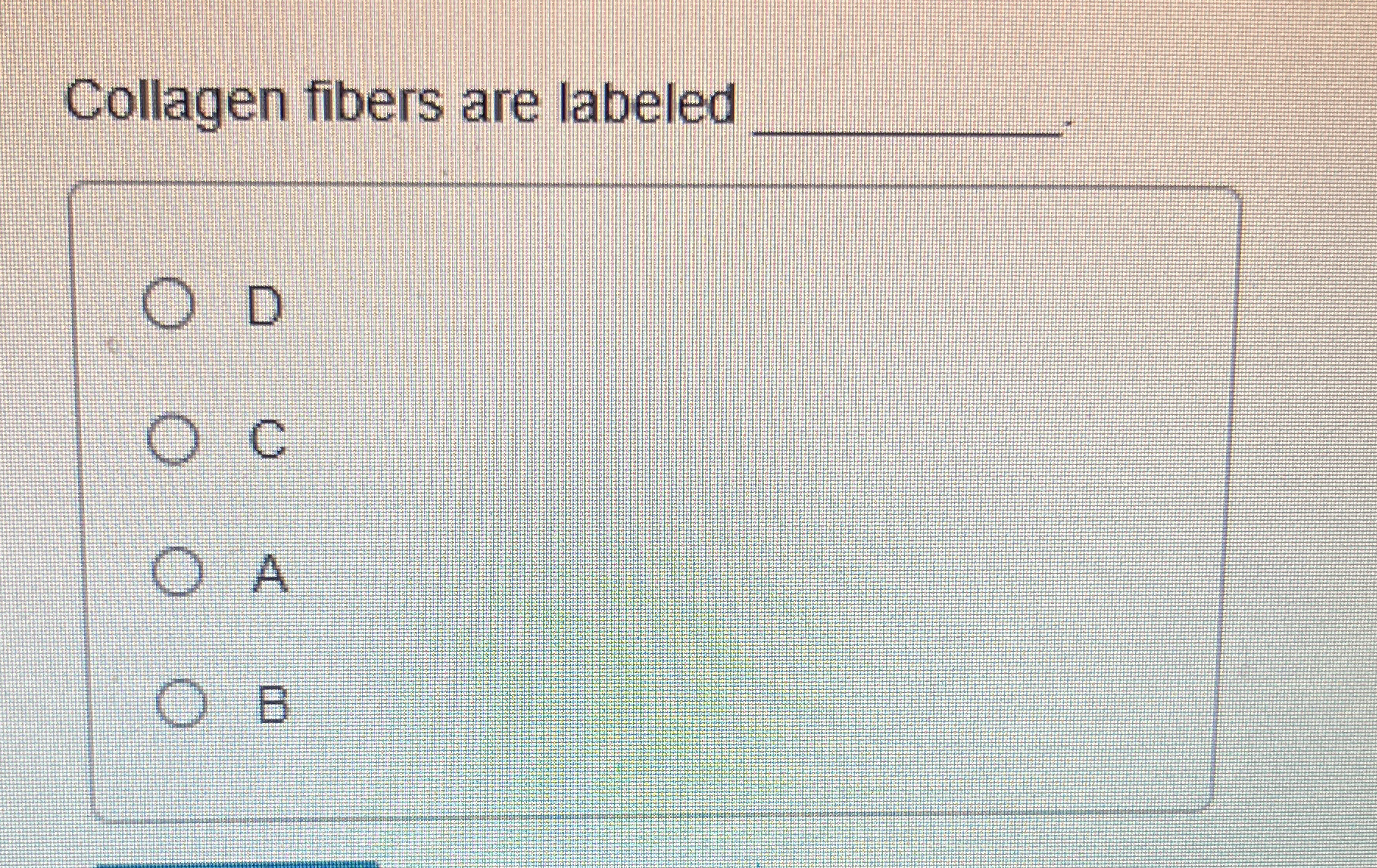 Solved Collagen fibers are labeledDCAB | Chegg.com