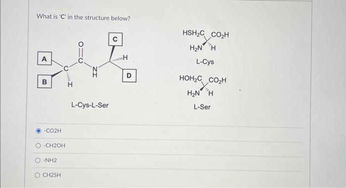 Solved What is ' C ' in the structure below? −CO2H −CH2OH | Chegg.com