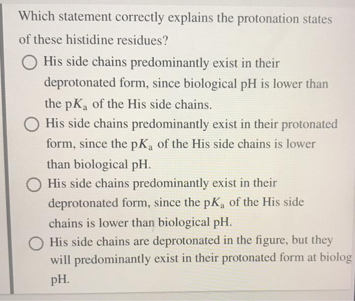 Solved Which statement correctly explains the protonation | Chegg.com Solved Which statement correctly explains the protonation | Chegg.com