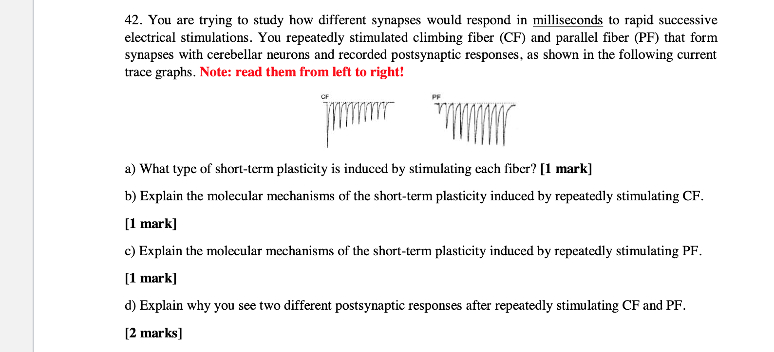 Solved You are trying to study how different synapses would | Chegg.com