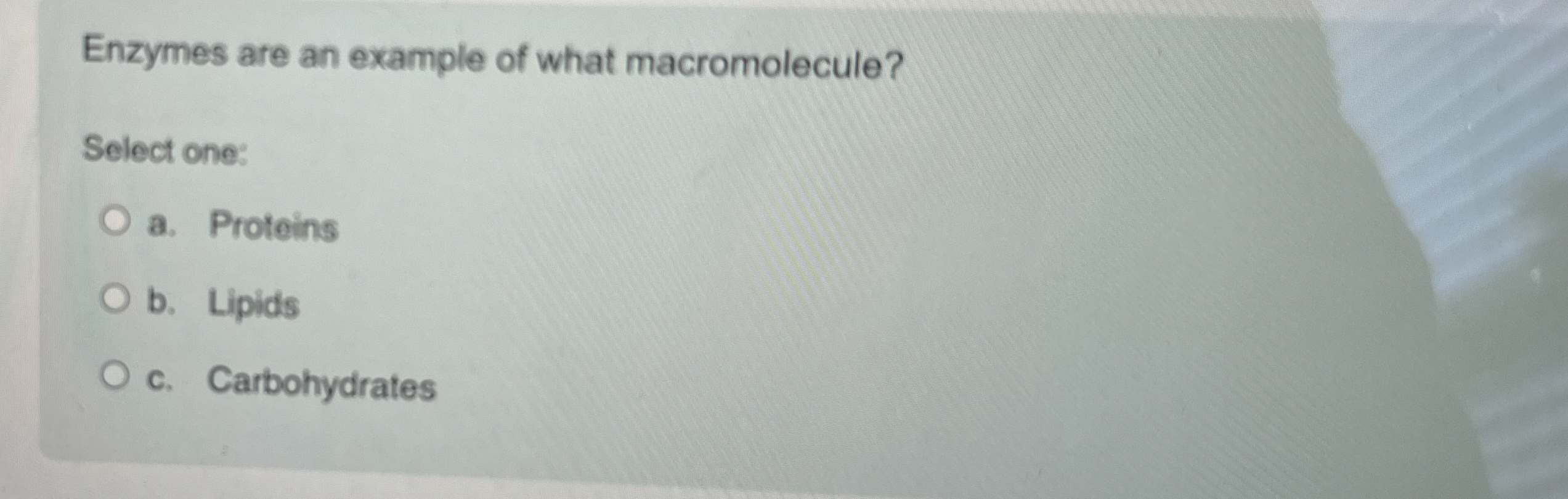 Solved Enzymes are an example of what macromolecule?Select | Chegg.com