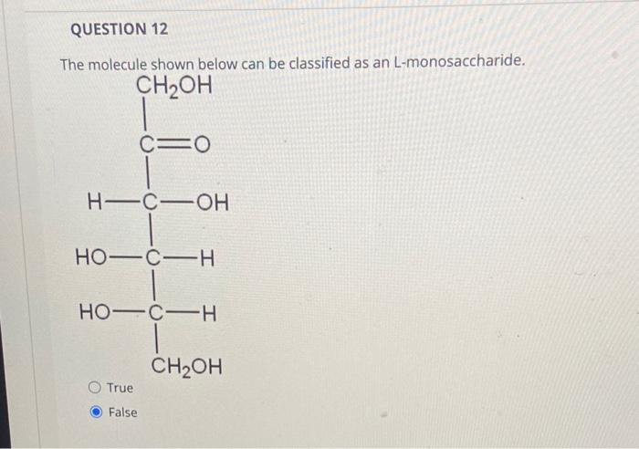 Solved The molecule shown below is an example of a | Chegg.com