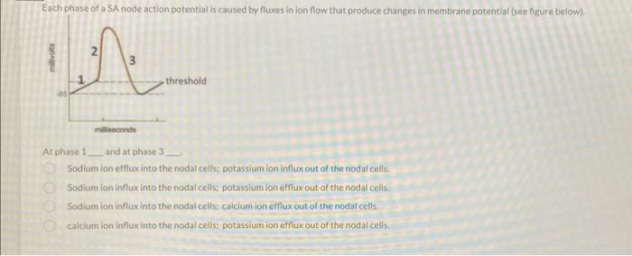Solved Each phase of a SA node action potential is caused by | Chegg.com