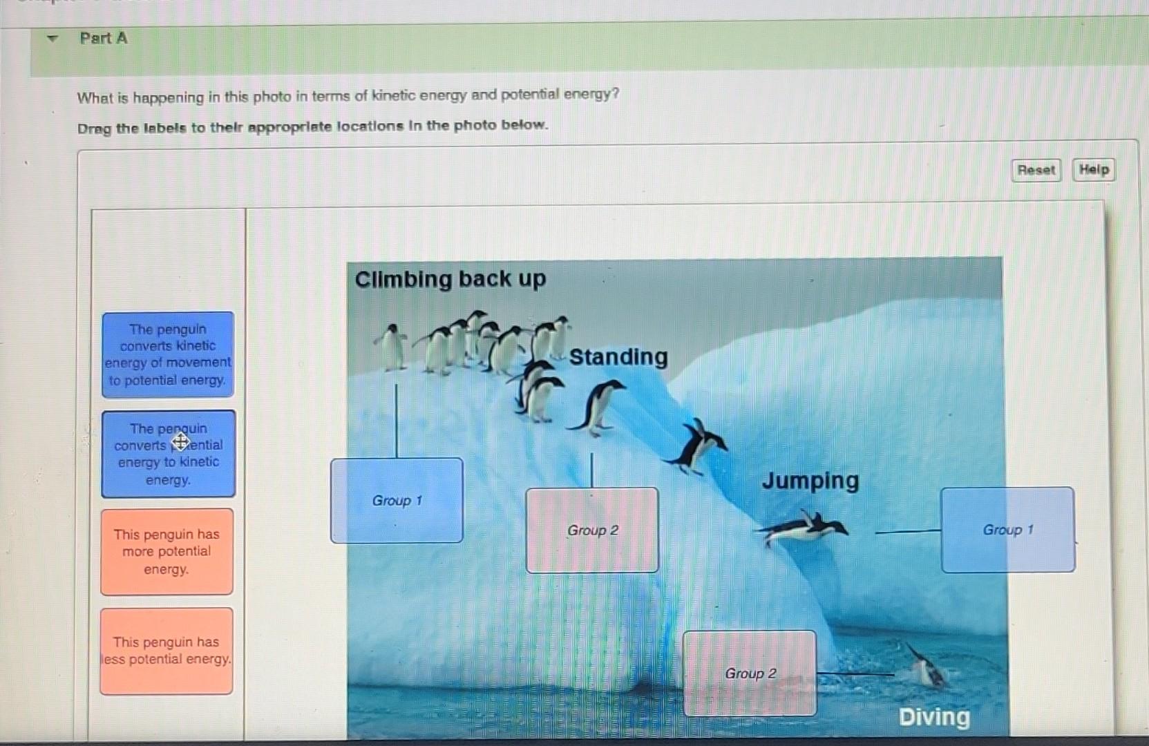 Solved What is happening in this photo in terms of kinetic | Chegg.com