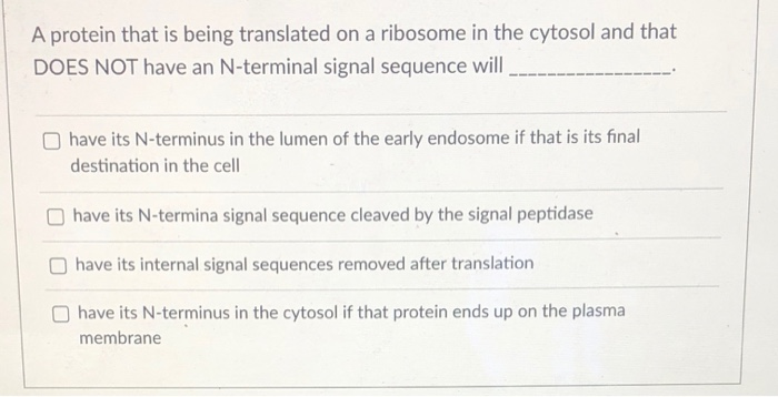 Solved A protein that is being translated on a ribosome in | Chegg.com