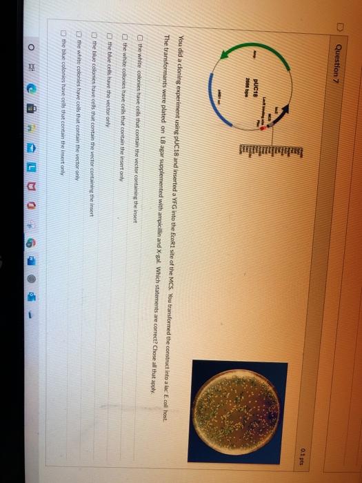 PBR325 000 pe The picture shows the map of p8R325 | Chegg.com