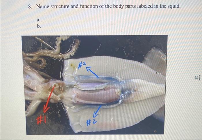 Solved 8. Name structure and function of the body parts | Chegg.com