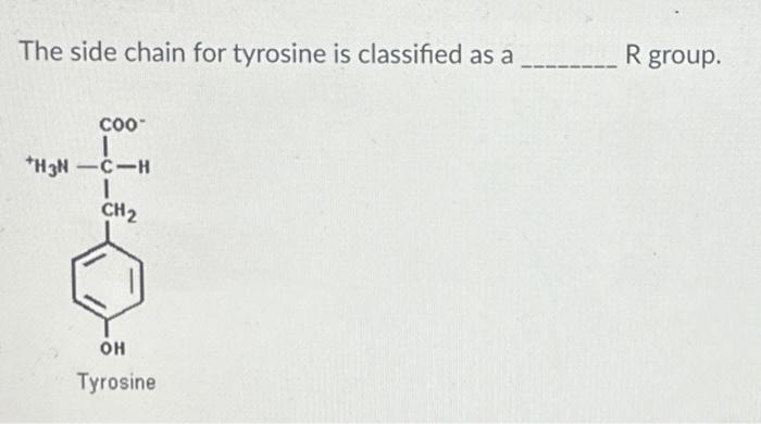 Solved The side chain for tyrosine is classified as a COO™ | Chegg.com