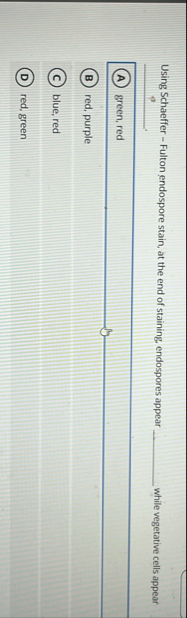 Solved Using Schaeffer - ﻿Fulton endospore stain, at the end | Chegg.com