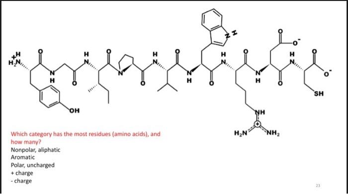 Solved Nonpolar, aliphatic Aromatic Polar, uncharged + | Chegg.com