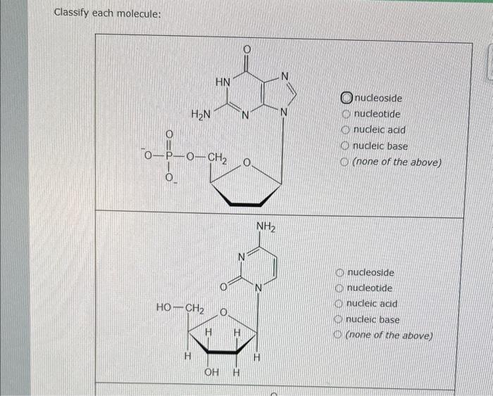 Solved Classify each molecule: nucleoside nucleotide | Chegg.com