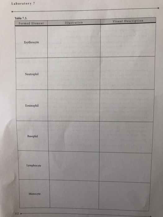 Solved Blood EXERCISE 3. IDENTIFICATION OF FORMED ELEMENTS | Chegg.com