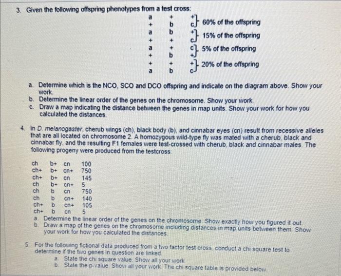 Solved 3. Given the following offspring phenotypes from a | Chegg.com