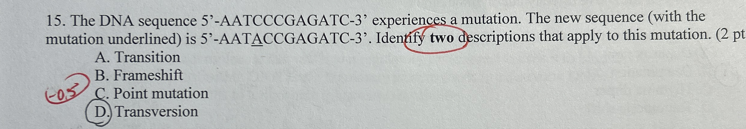 Solved The DNA sequence 5 '-AATCCCGAGATC-3' ﻿experiences a | Chegg.com