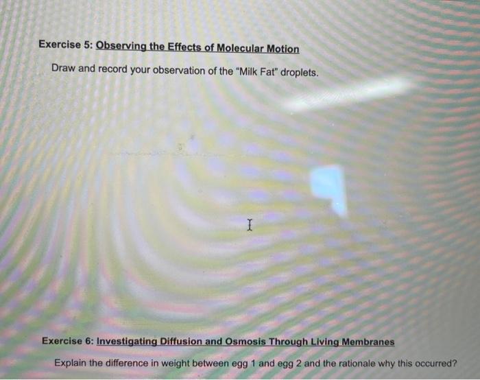 Solved Exercise 5: Observing the Effects of Molecular Motion | Chegg.com