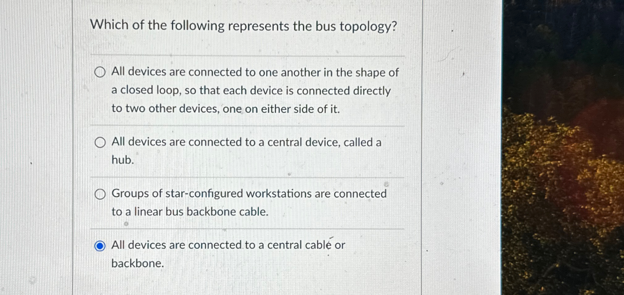 Solved Which of the following represents the bus | Chegg.com