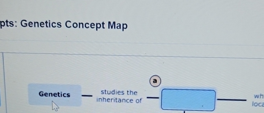 Solved pts: Genetics Concept Mapa)studies the inheritance of | Chegg.com