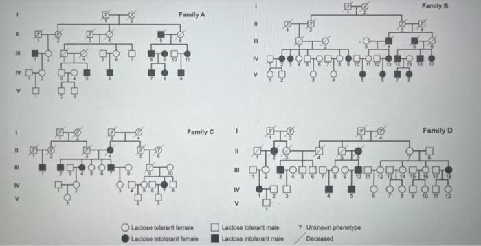 If Individual 4, Generation IV, Family B were to mate | Chegg.com